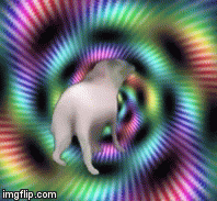 dancin doggo - Imgflip
