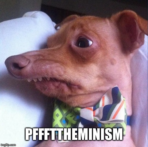 Tuna the dog (Phteven) - Imgflip