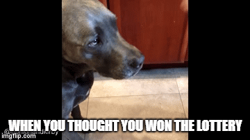 Winning The Lottery Gif