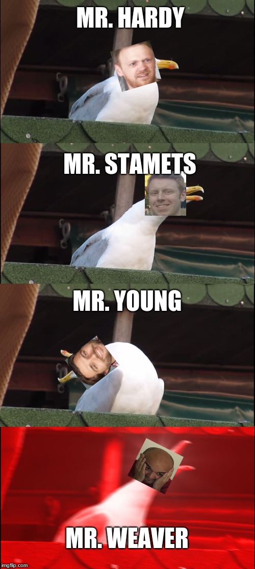Inhaling Seagull Meme - Imgflip