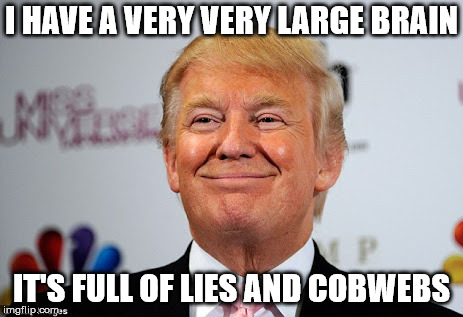 Donald trump approves - Imgflip