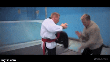 backflip kick - Imgflip