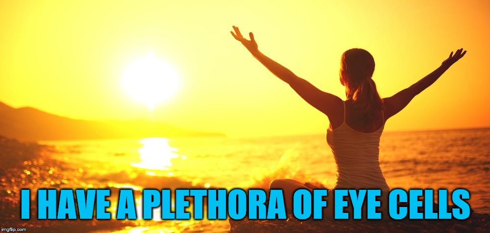 It's Not Worth the Price You Pay For it ( ) - Imgflip