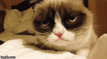 Yeah Whatever Grumpy cat gif - Imgflip