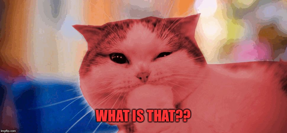 Image tagged in raycat derp,memes - Imgflip