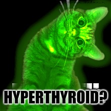 Image tagged in raycat derp,memes - Imgflip