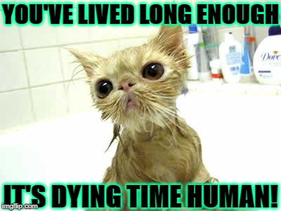Image tagged in dying time - Imgflip