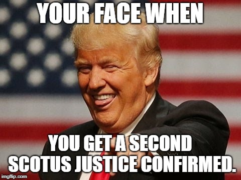 Image tagged in trump,politics,scotus,senate - Imgflip