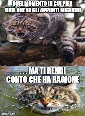 Imgflip