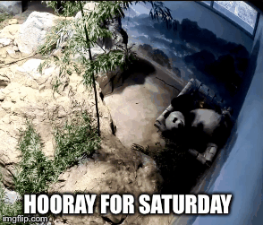 Hooray for Saturday - Imgflip