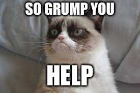 Grumpy Cat Meme - Imgflip