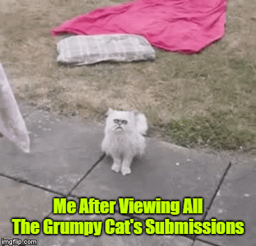 To All The Users Who Contributed To "Grumpy Cat's Weekend" Event. We ...