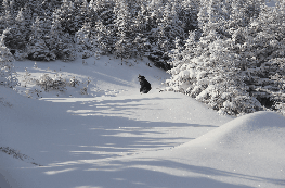 Memoir of a Powder Day - Imgflip