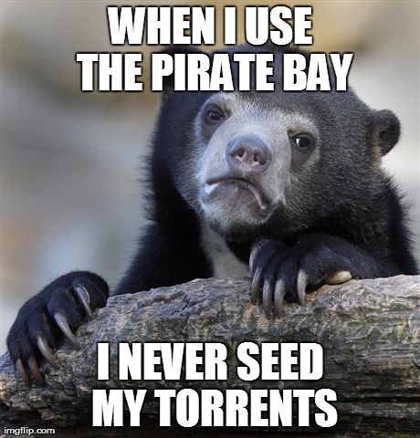 Confession Bear Meme - Imgflip