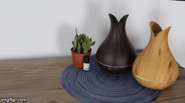 Animated GIF - Imgflip