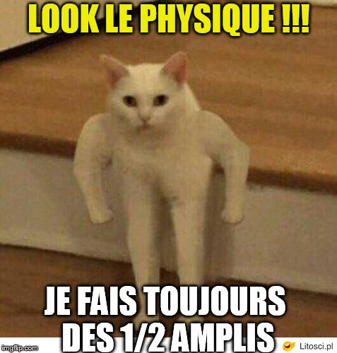 Buff Half Cat - Imgflip