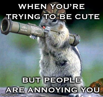 Bazooka Squirrel Meme - Imgflip