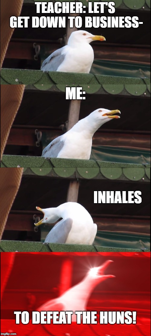 Inhaling Seagull Meme - Imgflip