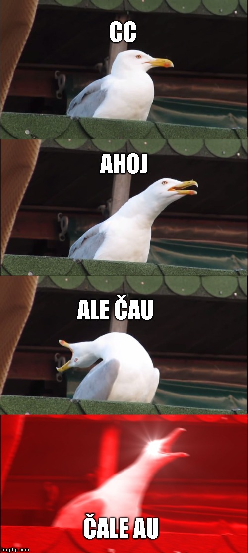 Inhaling Seagull Meme - Imgflip