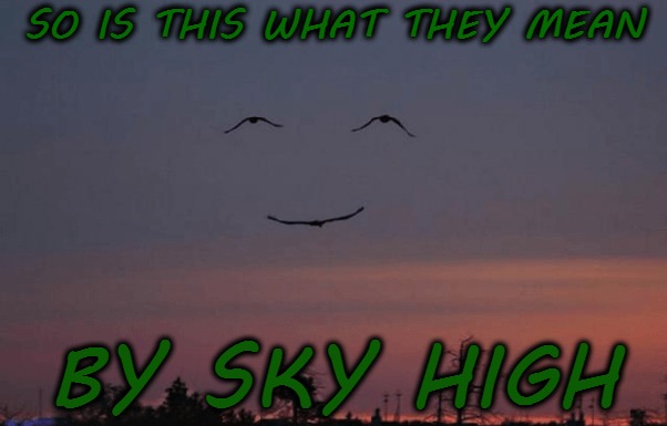 Image tagged in funny,sky,high - Imgflip