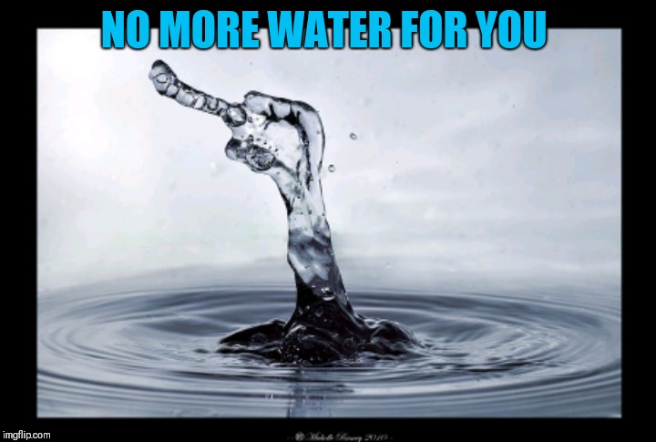 Trees have feelings too you know. - Imgflip