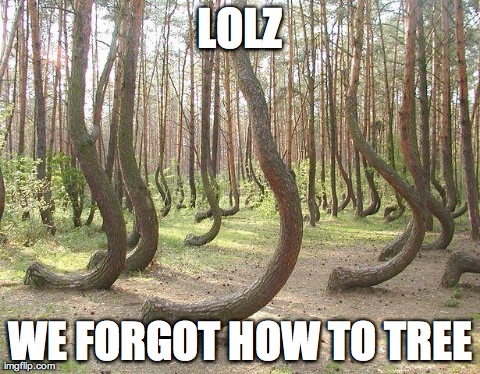 Image tagged in funny,nature,tree - Imgflip