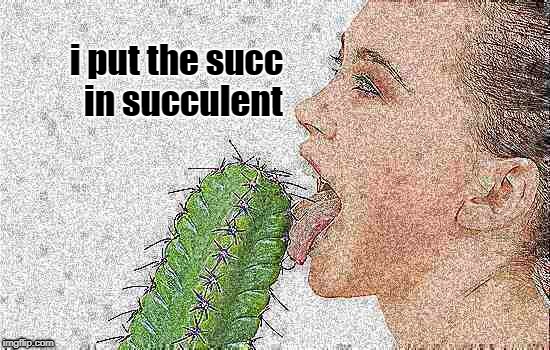 Image tagged in succ,cactus,deepfry - Imgflip