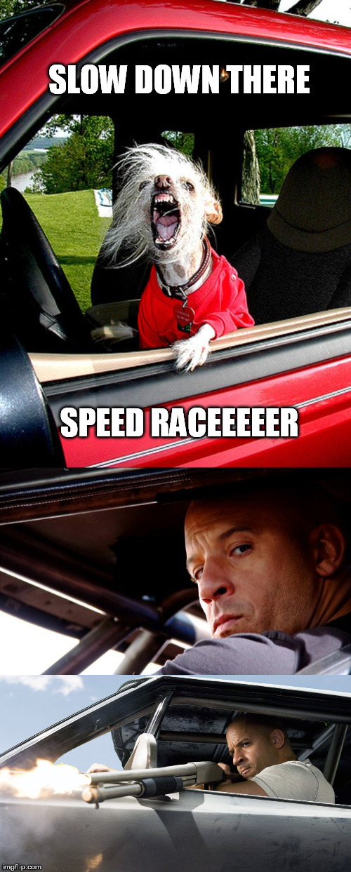 Helpful Senior Saves Lives - Imgflip