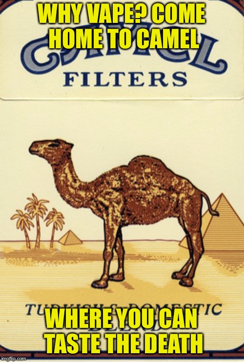ride the camel Memes & GIFs - Imgflip