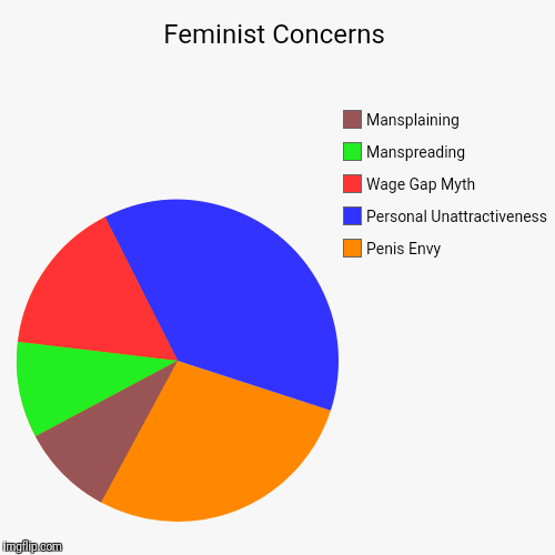 Feminist Concerns - Imgflip