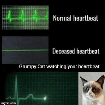 Grumpy Cat likes to visit you in the hospital - Imgflip