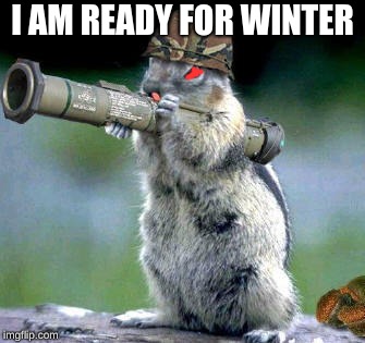 Bazooka Squirrel Meme - Imgflip