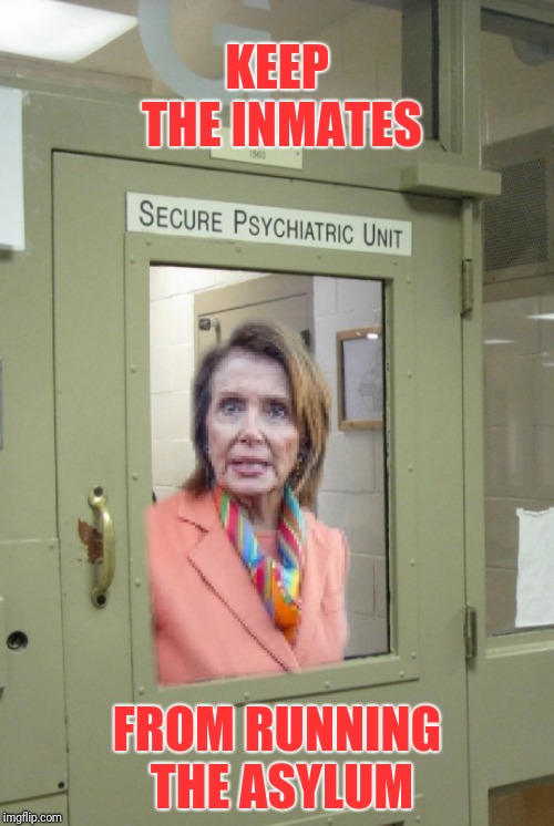 Nutty Nancy Pelosi - Imgflip