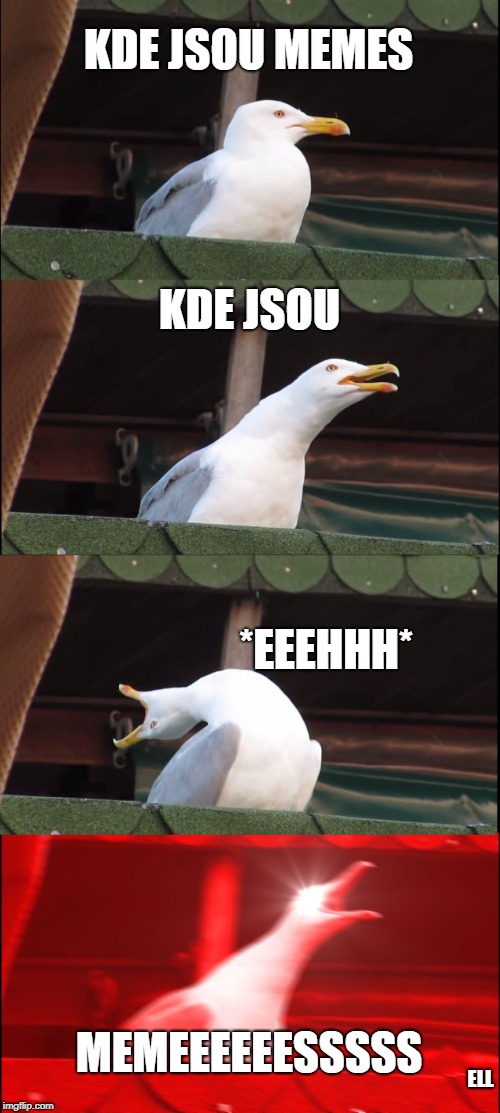 Inhaling Seagull Meme - Imgflip