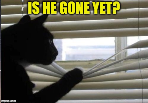 First things first - Imgflip