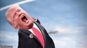 trump - Imgflip