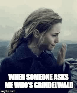Who's Grindelwald - Imgflip