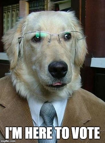 Dog Glasses - Imgflip