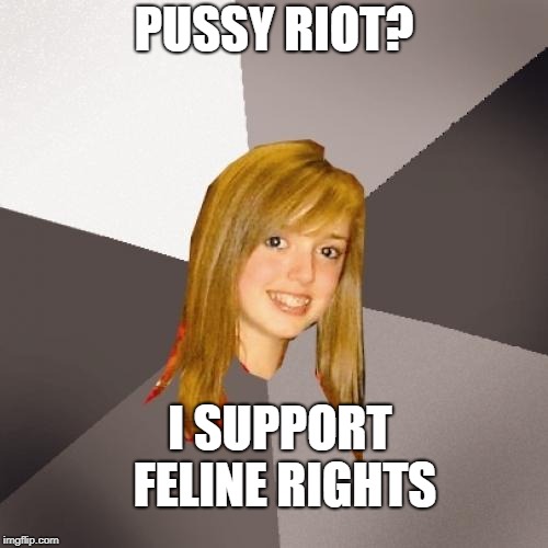 Cat fight!!! - Imgflip