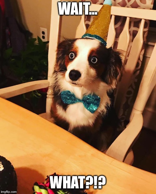 Wait...what - Imgflip