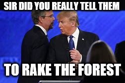 Image tagged in donald trump - Imgflip