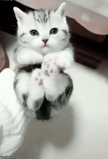 Beans, beans, beans, beans. I have cute toe-beans - Imgflip