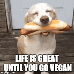 life is great - Imgflip