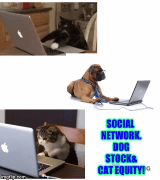 Social Networking - Imgflip