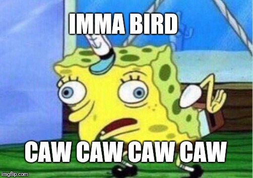 Mocking Spongebob Meme - Imgflip