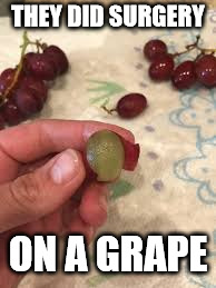 They Did Surgery On A Grape