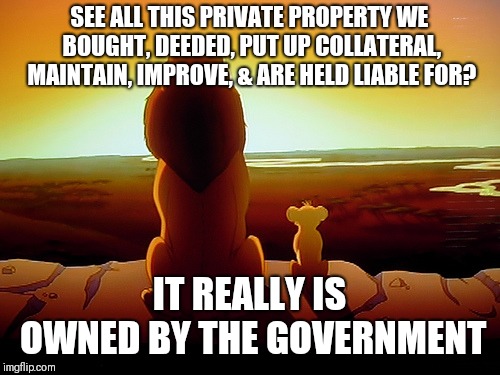 Lion King Meme - Imgflip