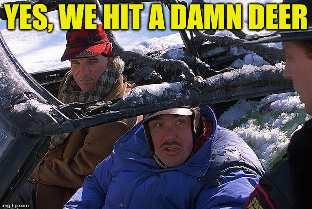 Deer interviewed during hunting season. - Imgflip