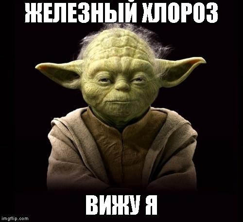 yoda - Imgflip