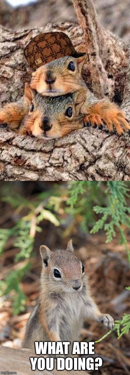 Image tagged in scumbag - Imgflip